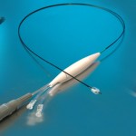 CE Mark For PARADISE™ Ultrasound Transcatheter Renal Denervation System ...