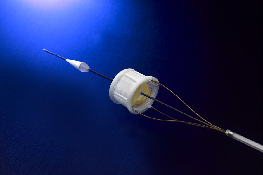 Patent Portfolio Growing For Direct Flow Medical's Innovative TAVI ...