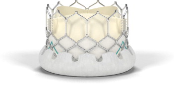 Edwards Lifesciences Sapien 3 Heart Valve to Launch Imminently ...